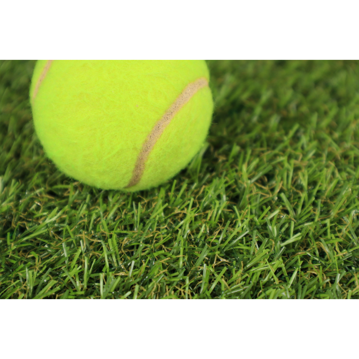 Travní koberec Robina metrážní