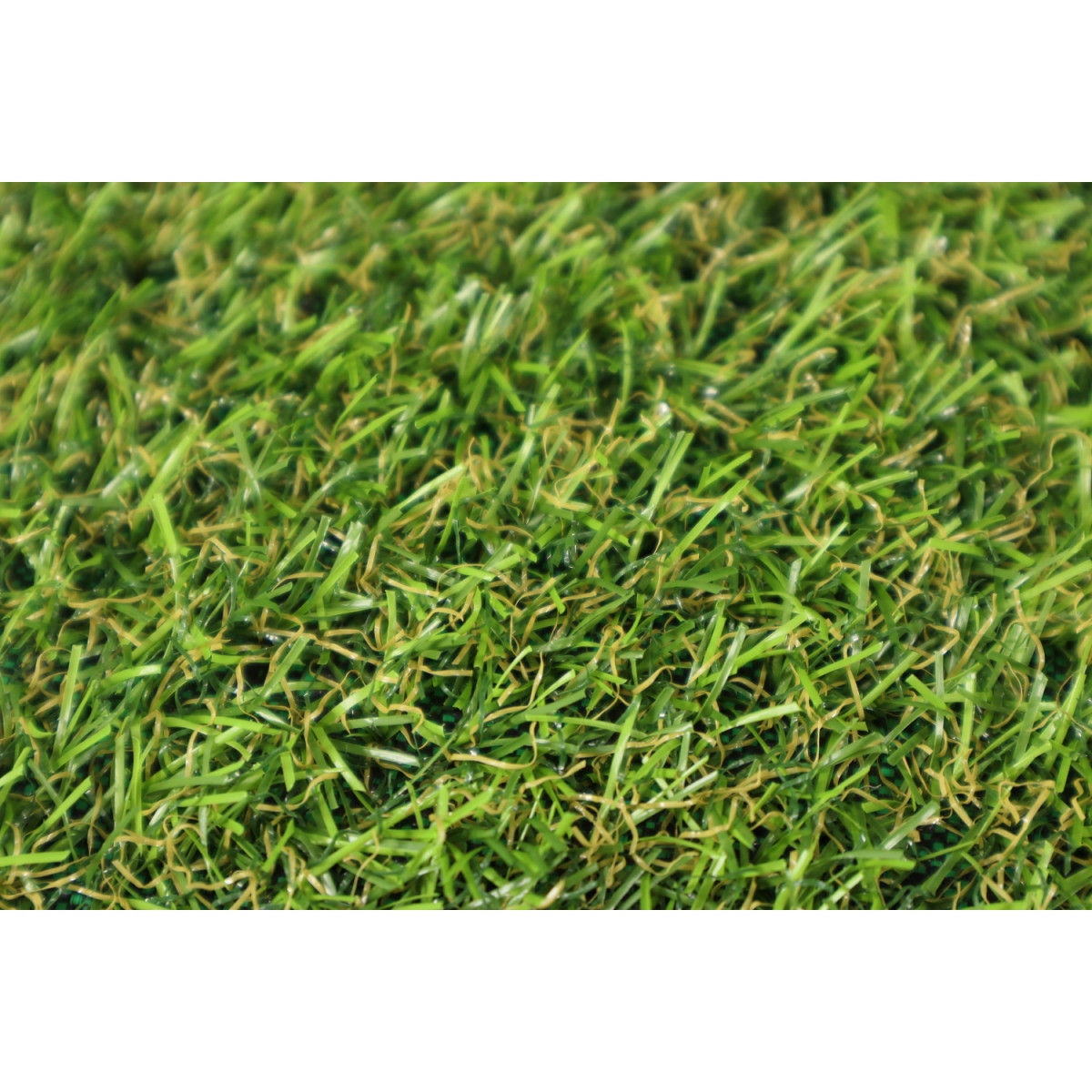 Travní koberec Robina metrážní