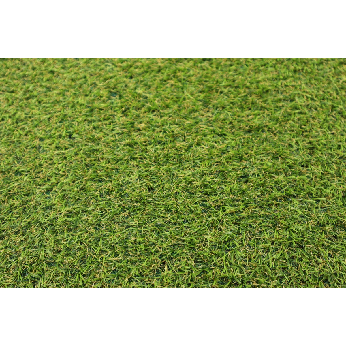 Travní koberec Robina metrážní